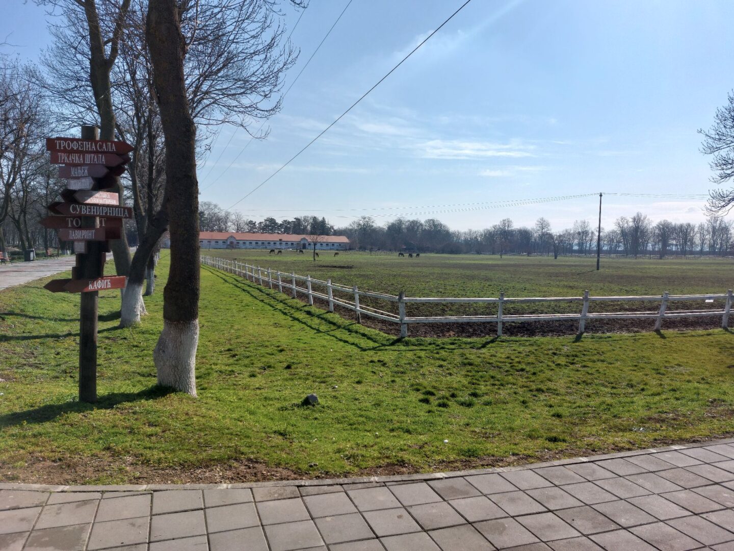 Ergela Ljubičevo - Dečiji Grad