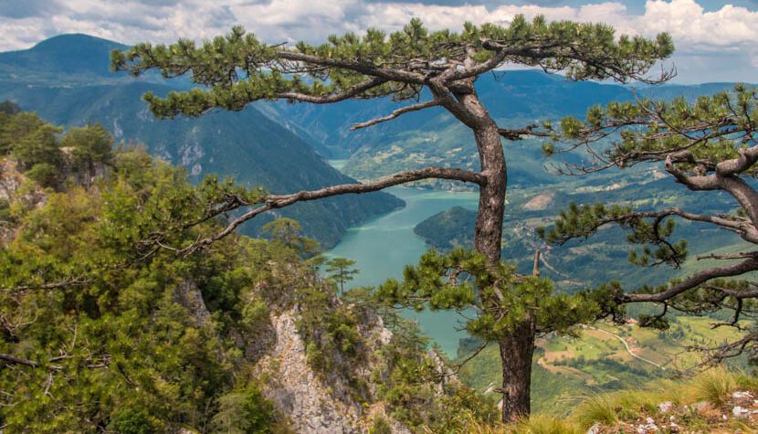 Vidikovac Banjska stena – Dečiji Grad