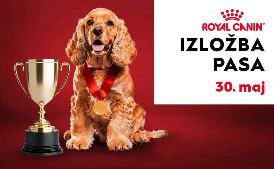 Revijalna izložba pasa - Dečiji Grad